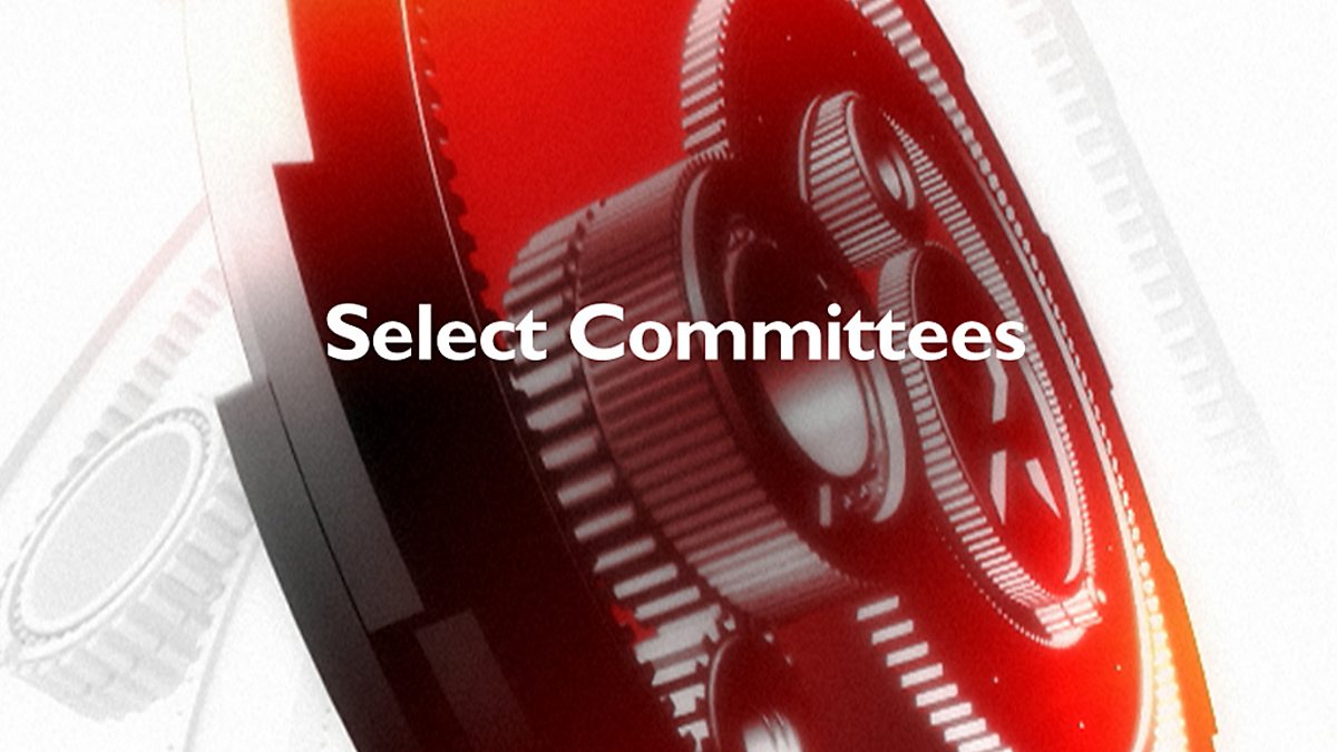 BBC Parliament - Select Committees