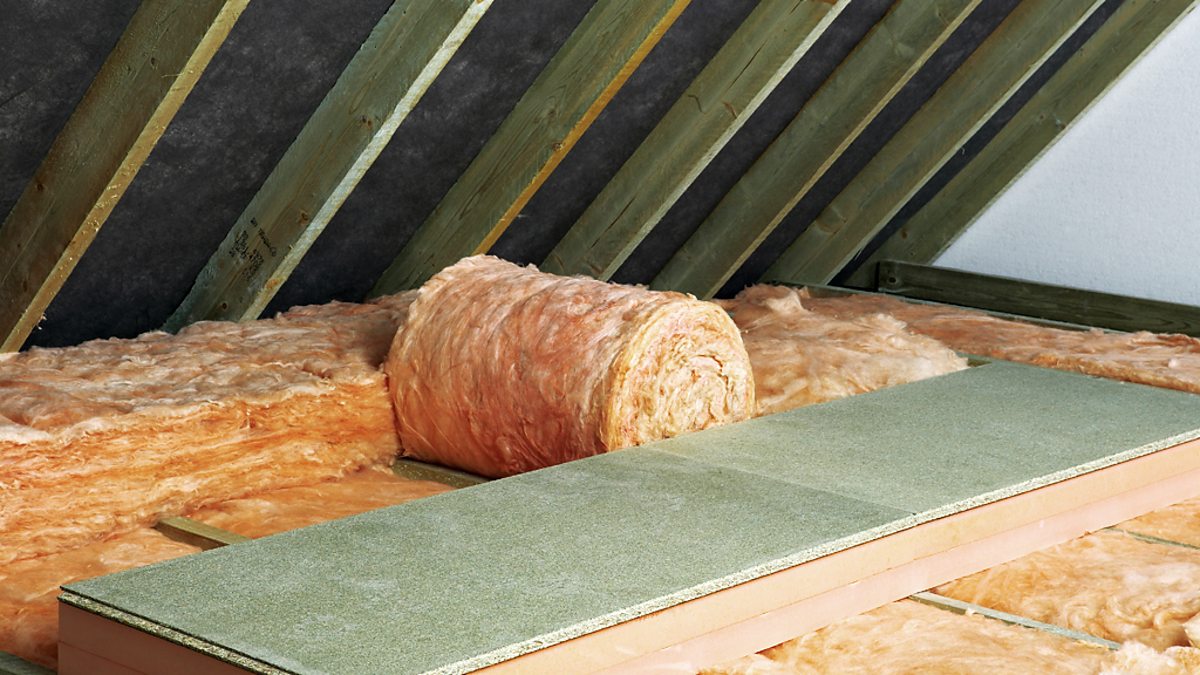 BBC Radio 4 - You and Yours, Free loft insulation; Fox damage ...