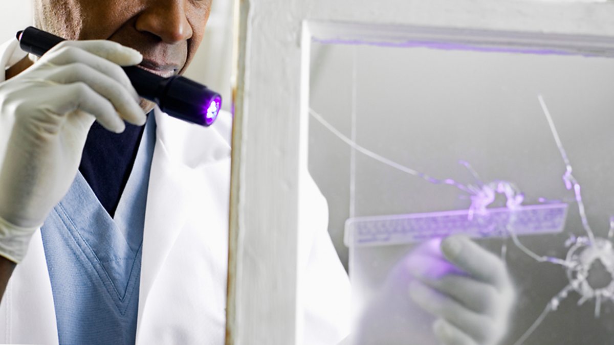 BBC Radio 4 - Number One Forensic Detective Agency