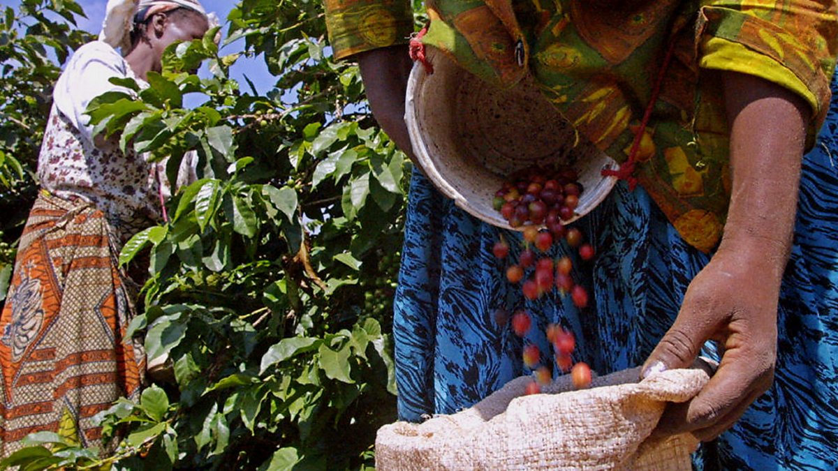 BBC Radio 4 - The Food Programme, Fairtrade Farmers