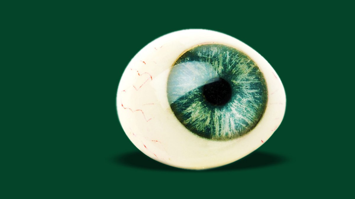 BBC Radio 4 - The Unseeing Eye