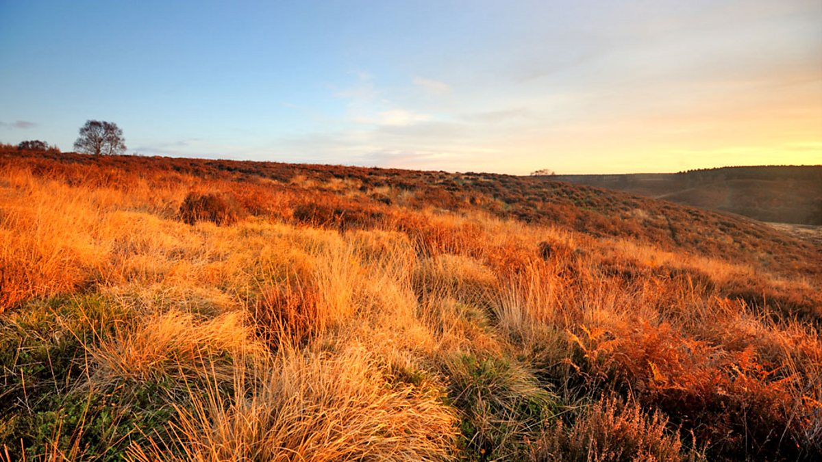 BBC Radio 4 - Ramblings, Iconic Walks, Hampshire Home