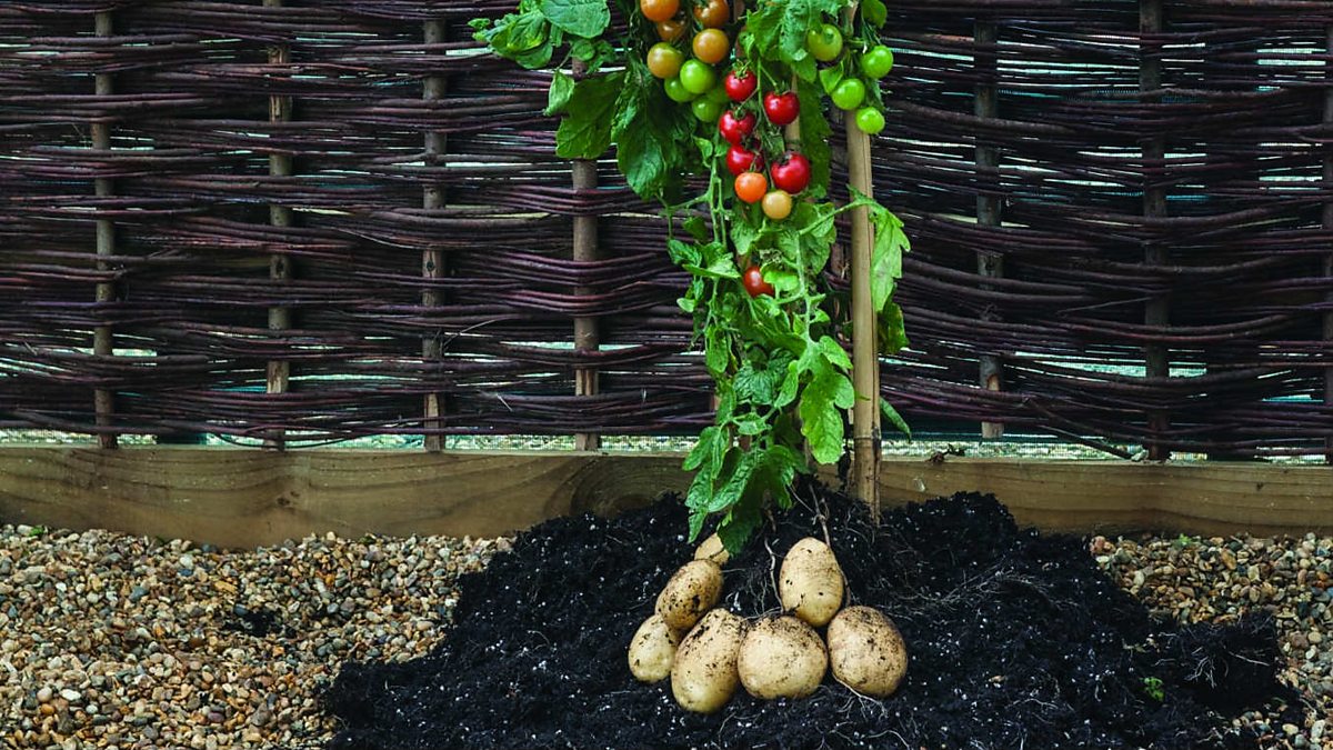 BBC Radio Lincolnshire - William Wright, Drivetime with William Wright ...