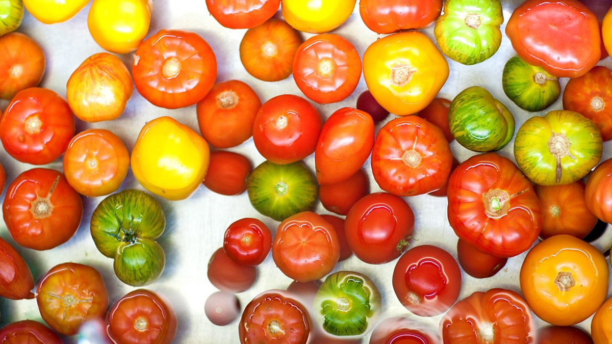BBC Radio 4 - The Food Programme, Tasting tomatoes