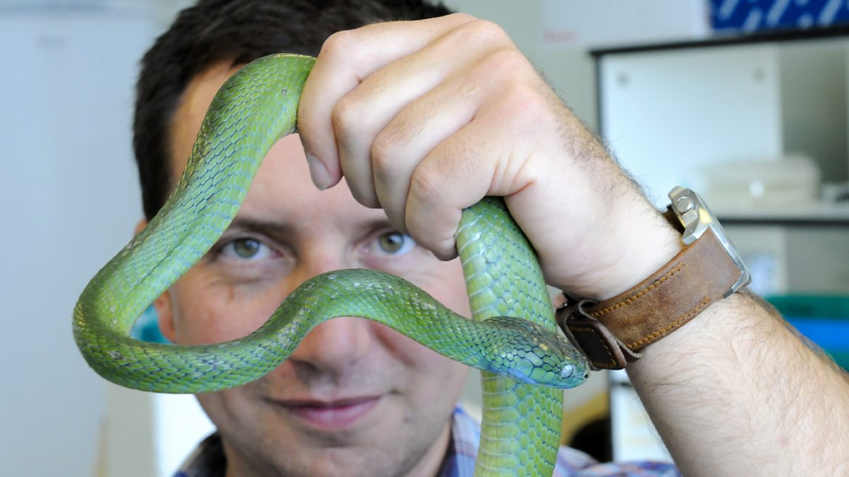 BBC Radio 4 - BBC Inside Science, Fracking FAQs; Fingerprint feedback ...