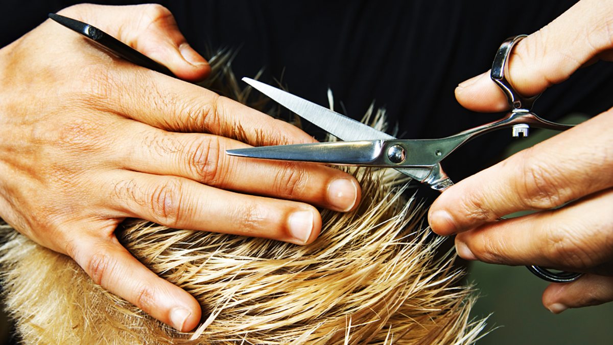 BBC Radio 4 - Short Cuts, Series 2, Making the Cut