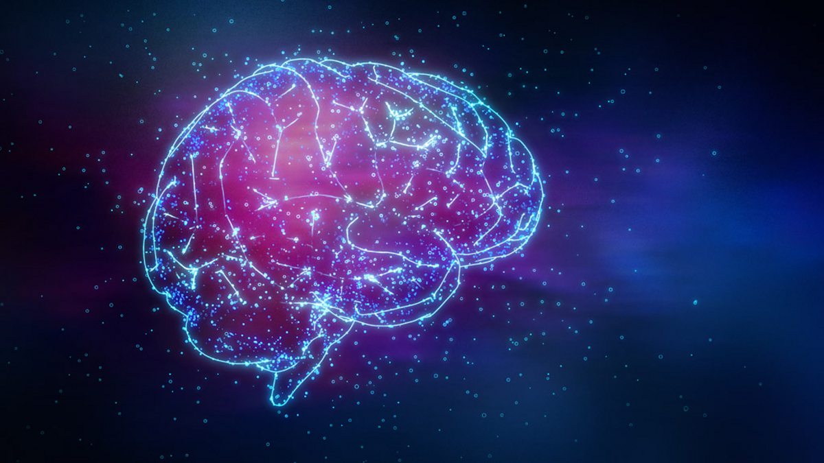 BBC Radio 4 - The Life Scientific, Uta Frith