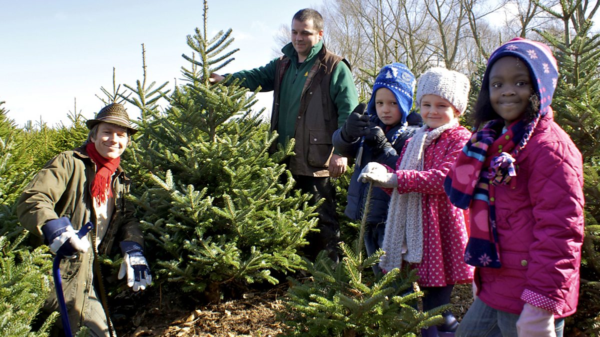 BBC - CBeebies - Mr Bloom's Nursery, Christmas Special: Hoe! Hoe! Hoe ...