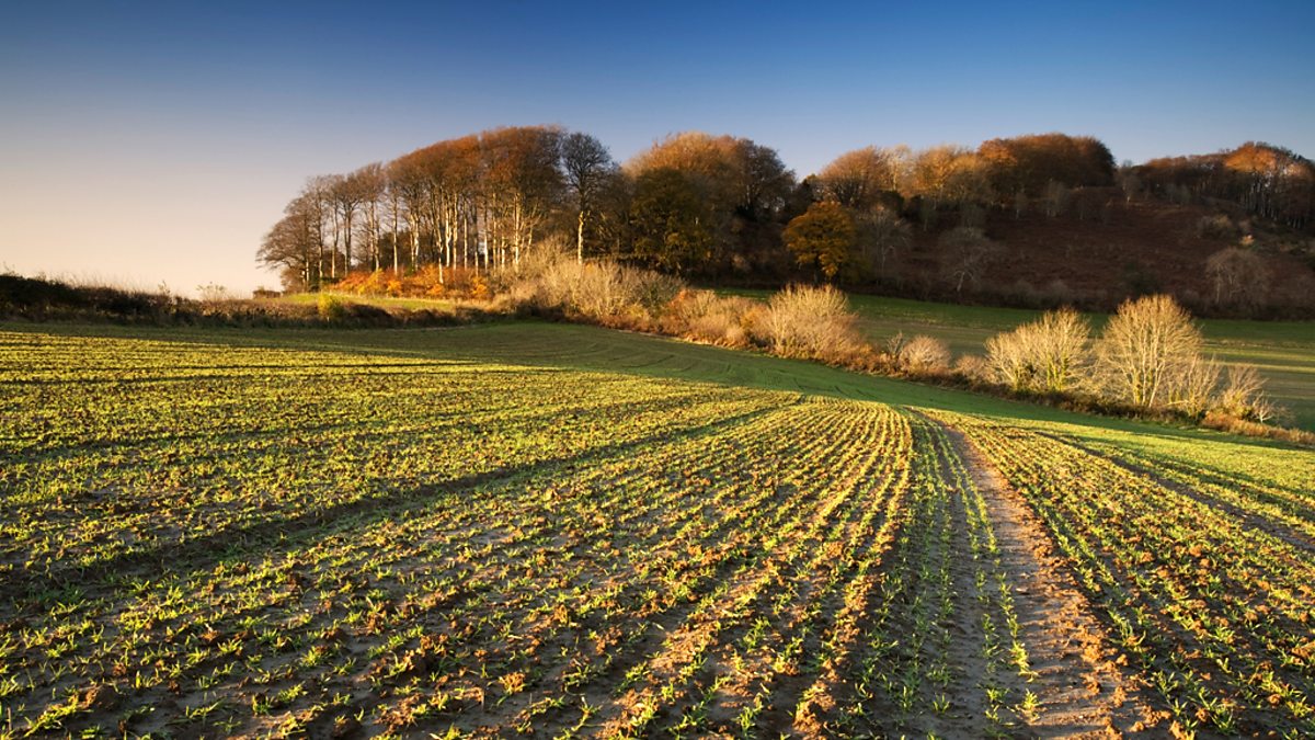 BBC Radio 4 Farming Today 23 09 2013 BBC Radio 4 Farming Today 23 09 2013