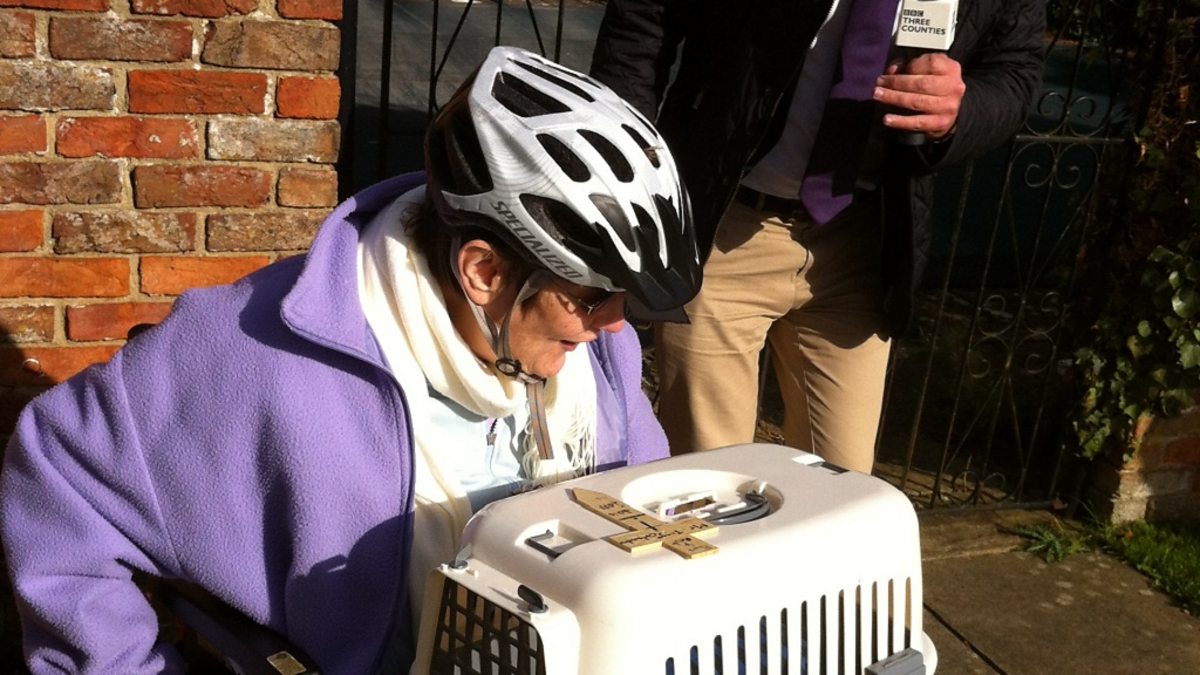 BBC Three Counties Radio - The JVS Show, Goodbye Mr Tango Orlando