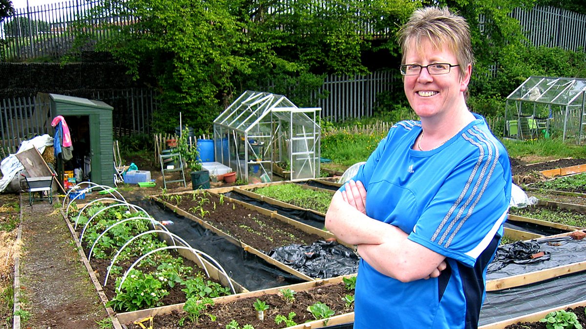 BBC Two - Losing the Plot