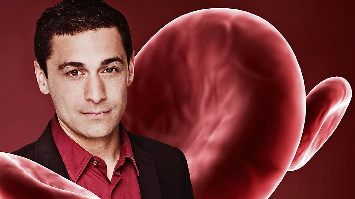 BBC Four - The Cell - Episode guide