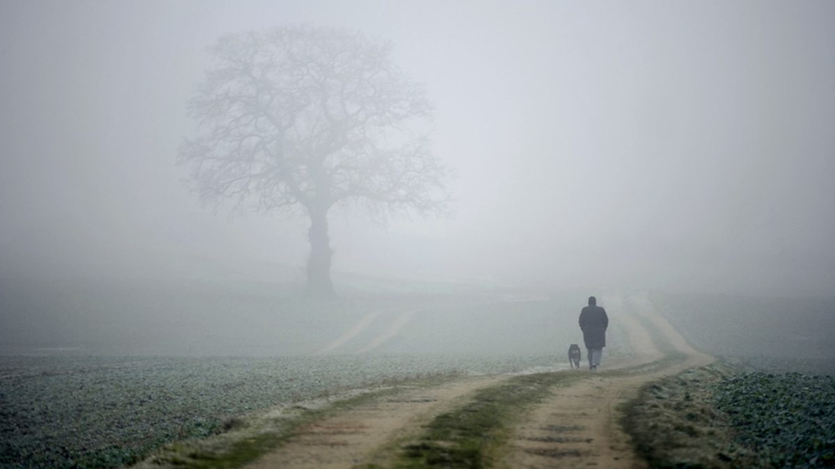 BBC Radio 3 - The Essay, The Path and the Poem - Episode guide