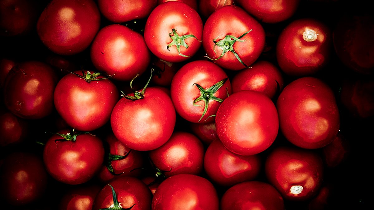 BBC Radio 4 Extra - No Tomatoes
