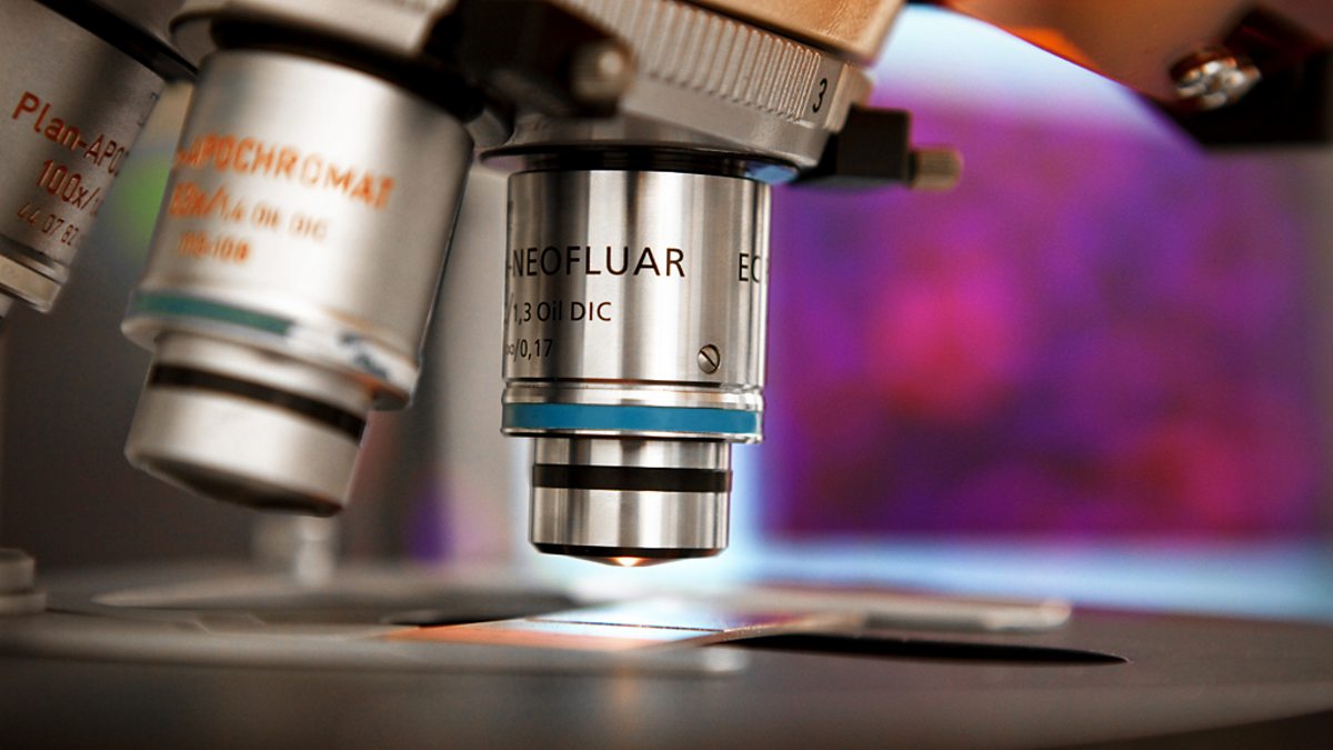 BBC Radio 4 - Britain's Labs, The Institute for Cancer Research