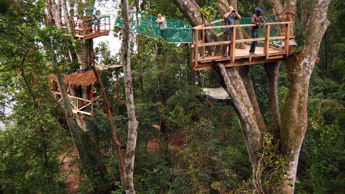 BBC Radio 4 - James and the Giant Tree House