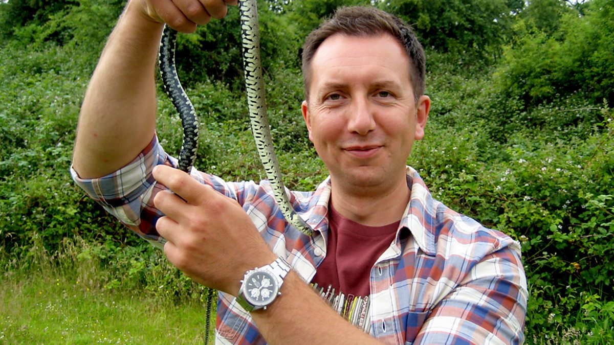 BBC One - Rhys to the Rescue, Series 1