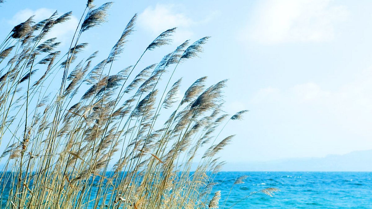 BBC Radio 4 Extra - Reeds in the Wind - Omnibus