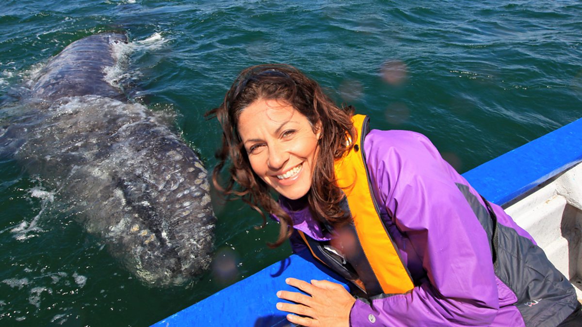 BBC One - Planet Earth Live, Series 1