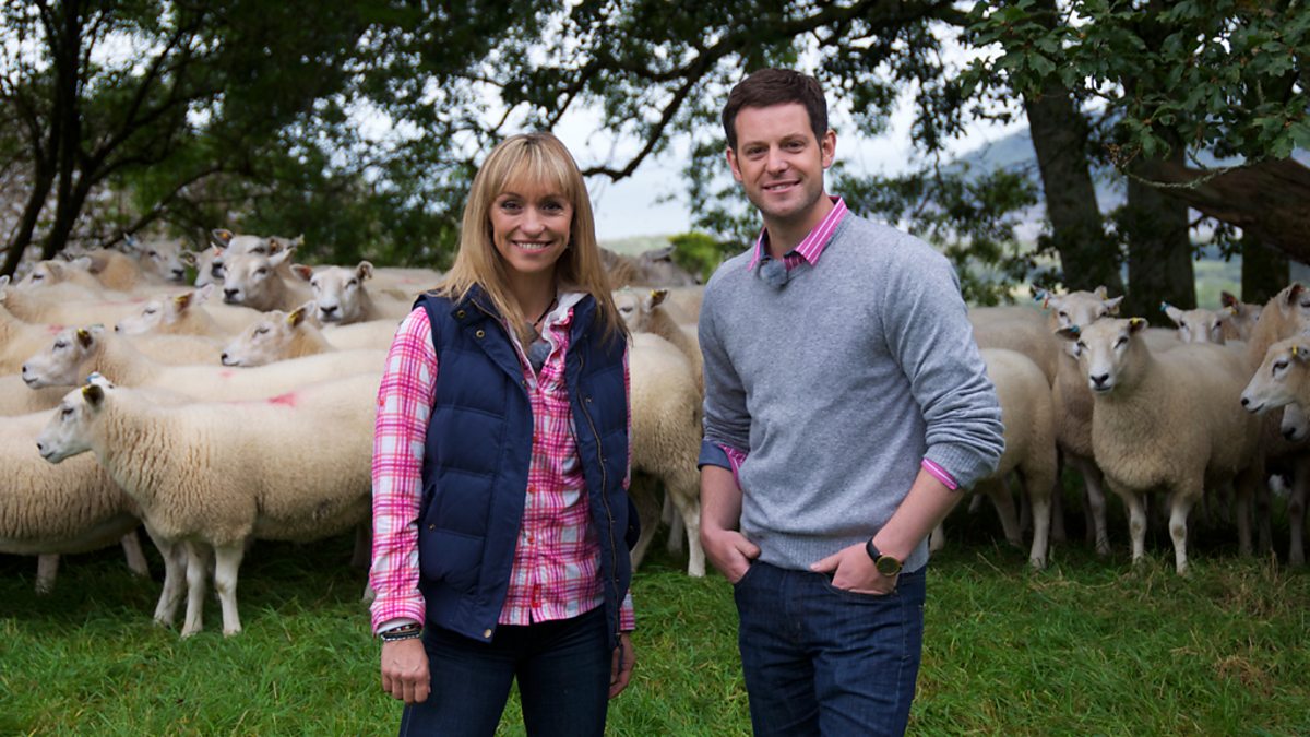 BBC Two - One Man and His Dog, LIVE!