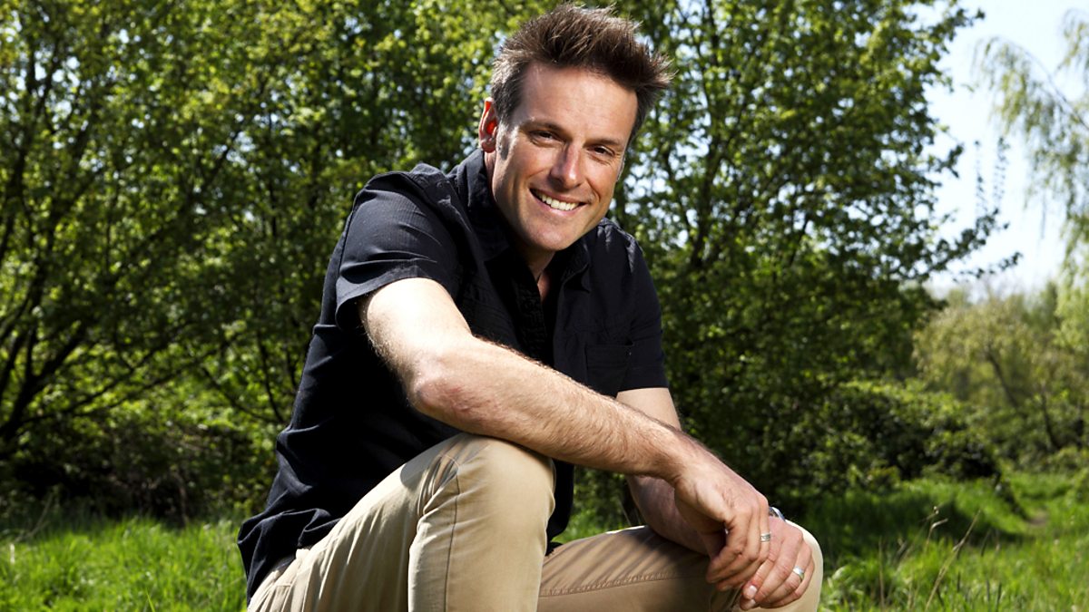 BBC Two - Springwatch in the Afternoon