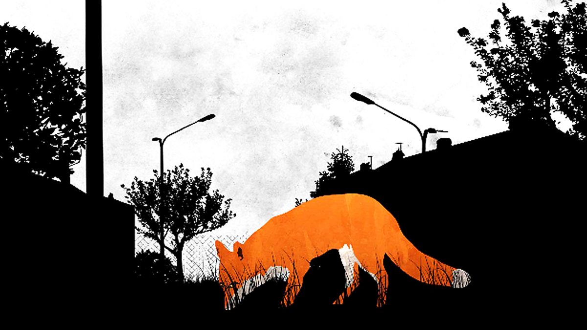 BBC One - Urban Jungle - Episode guide