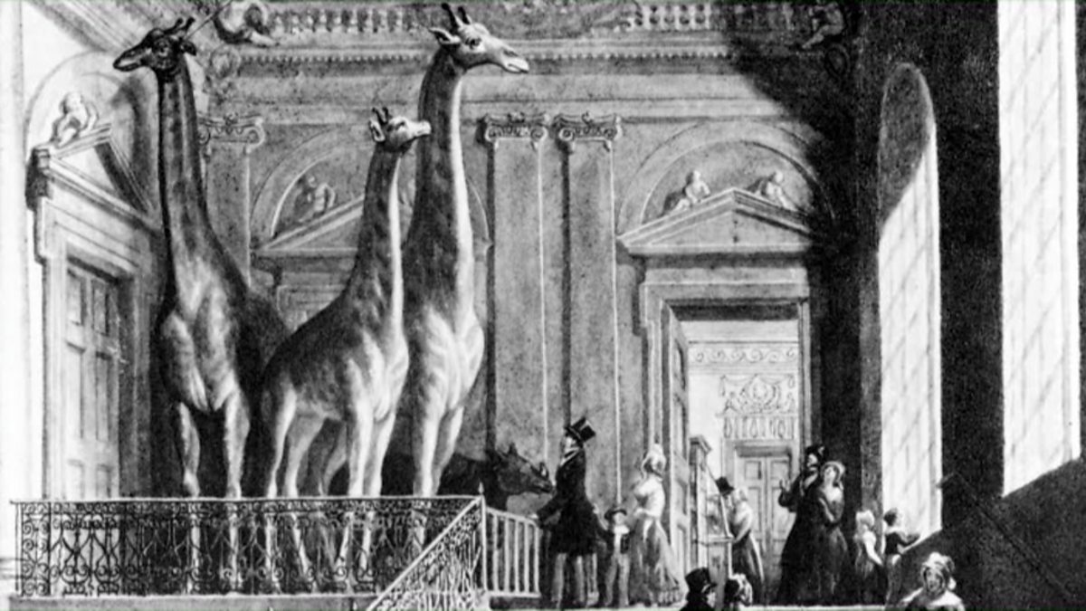 BBC Four - Timeshift, Series 13, A Day at the Zoo, Web exclusive: The ...