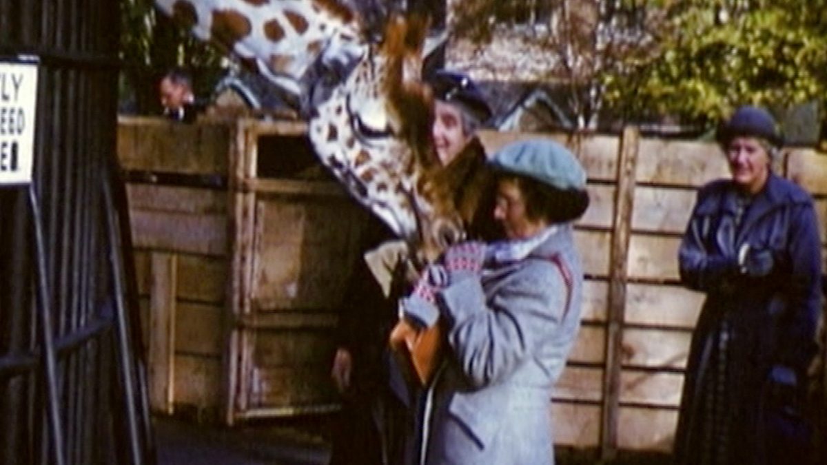 BBC Four - Timeshift, Series 13, A Day at the Zoo, Feeding time at the zoo