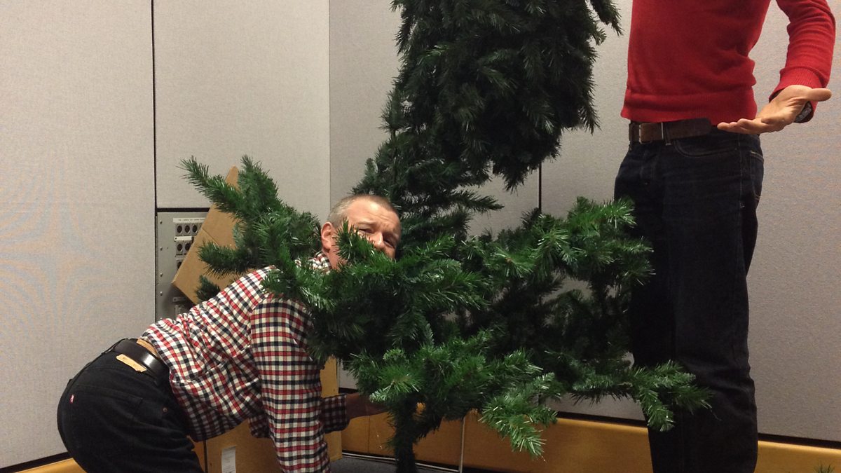 BBC - The Paul Miller Show Christmas Tree - Not even December yet