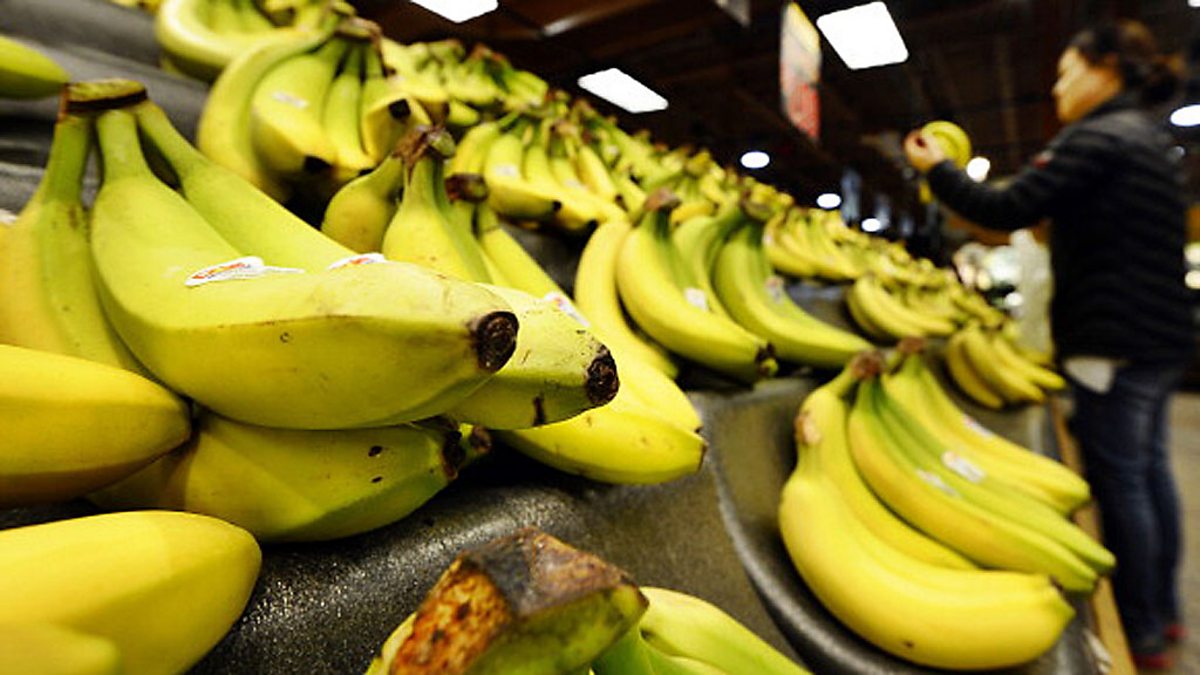 BBC World Service - Science In Action, Bananas in Peril