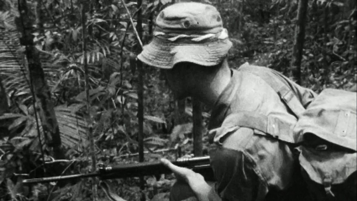 BBC - Jungle Green: Borneo