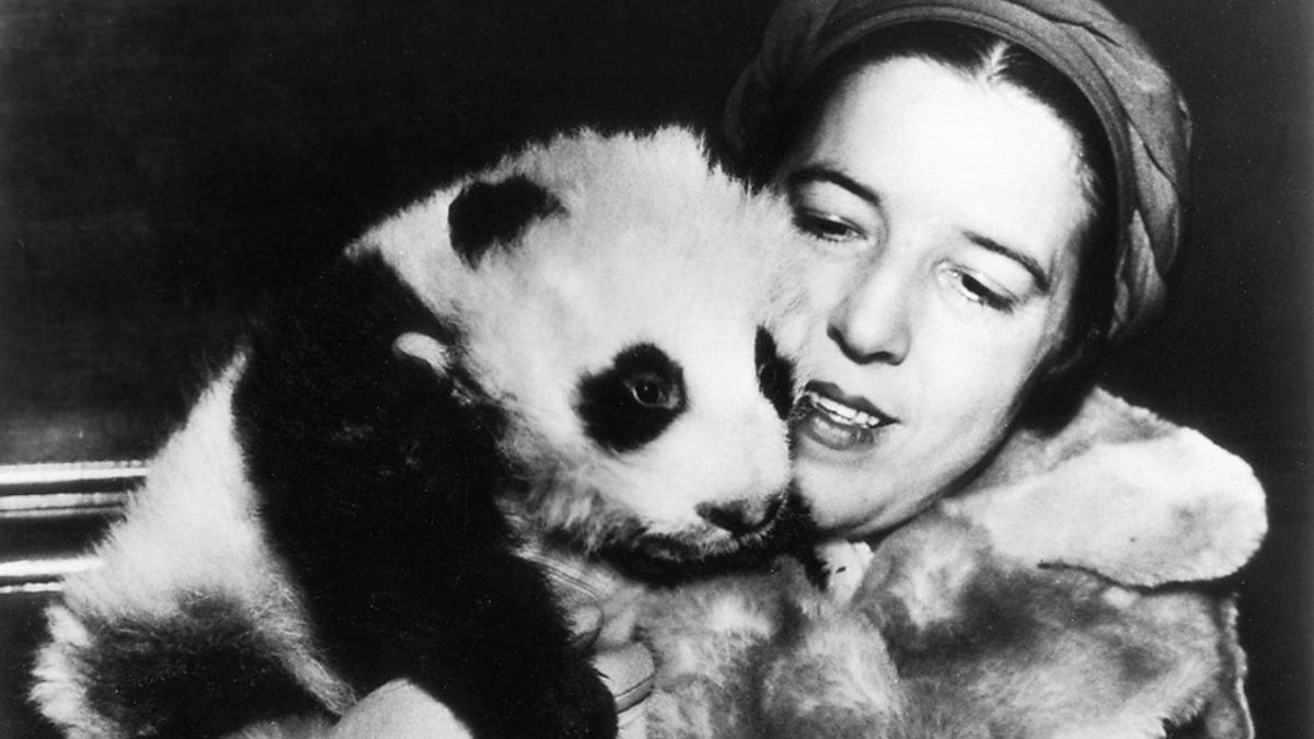 BBC World Service - Witness History, The First Panda in the West