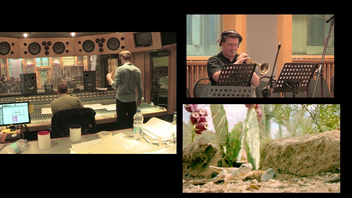 BBC One - Hidden Kingdoms, Under Open Skies, Web exclusive: Creating ...