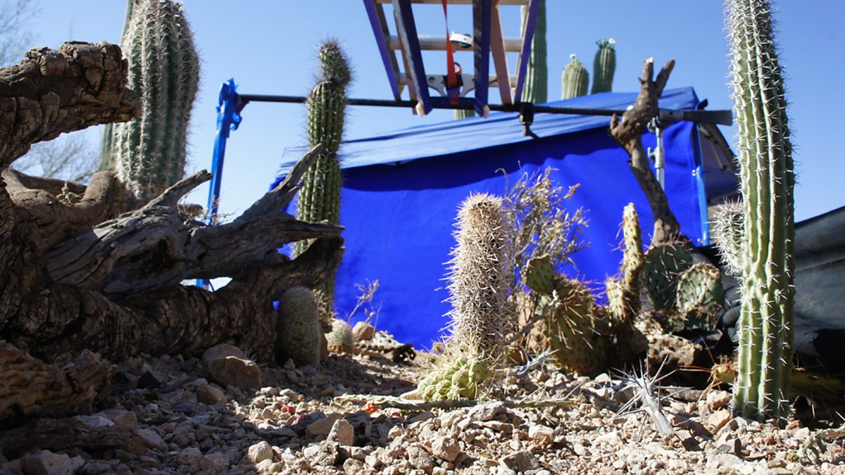 BBC One - Hidden Kingdoms - Blue screen