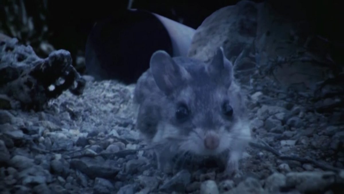 BBC One - Hidden Kingdoms, Under Open Skies, Web exclusive: Blue screen ...