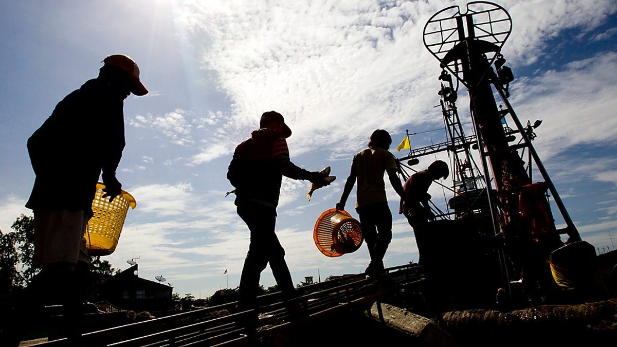 BBC News - Our World, Thailand's Slave Fishermen