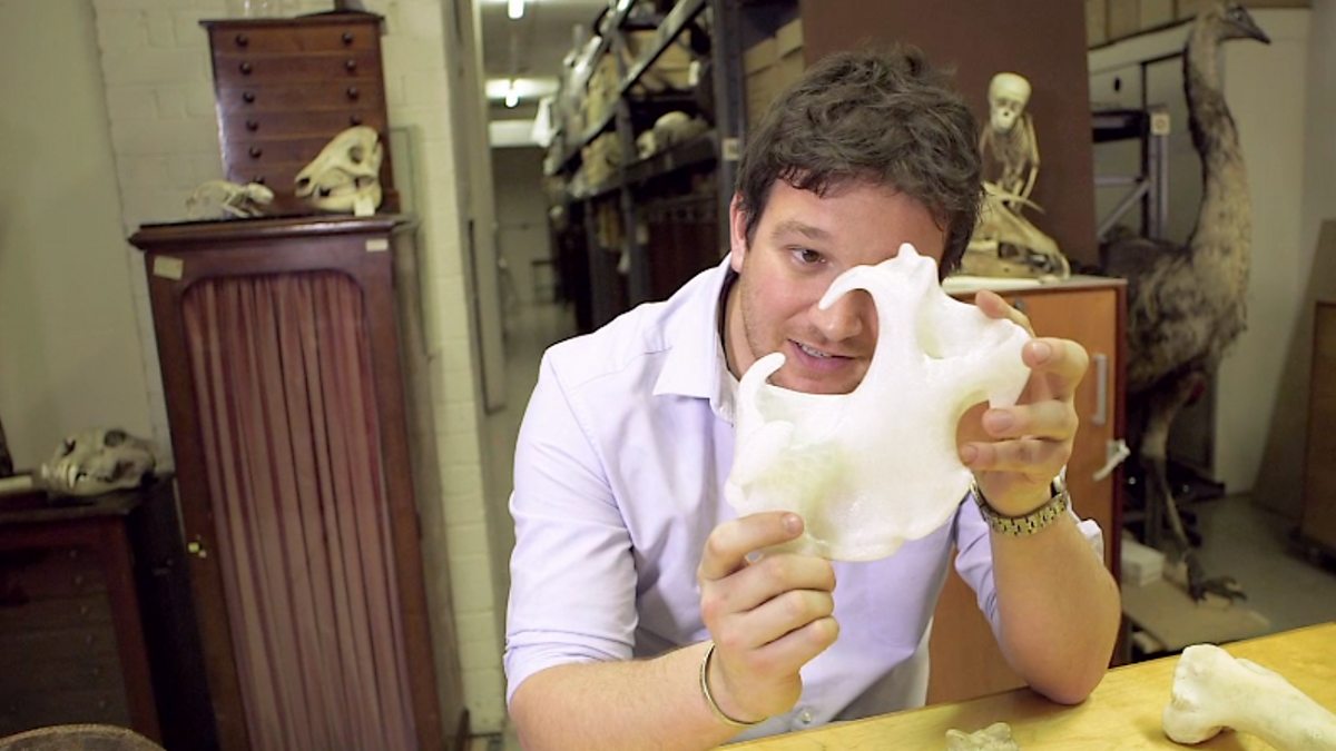 BBC Four - Secrets of Bones, Down to Earth, The mole’s humerus