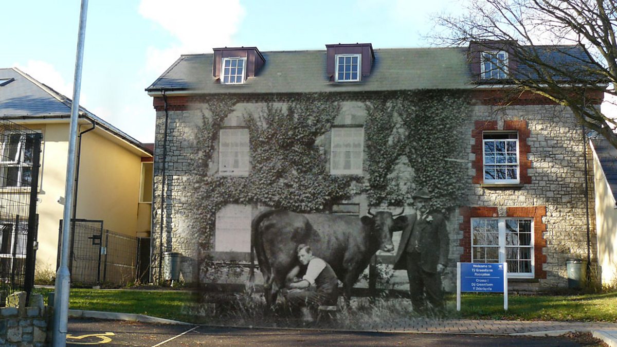 BBC - World War One At Home, Green Farm, Cardiff: A Land Girl in the City