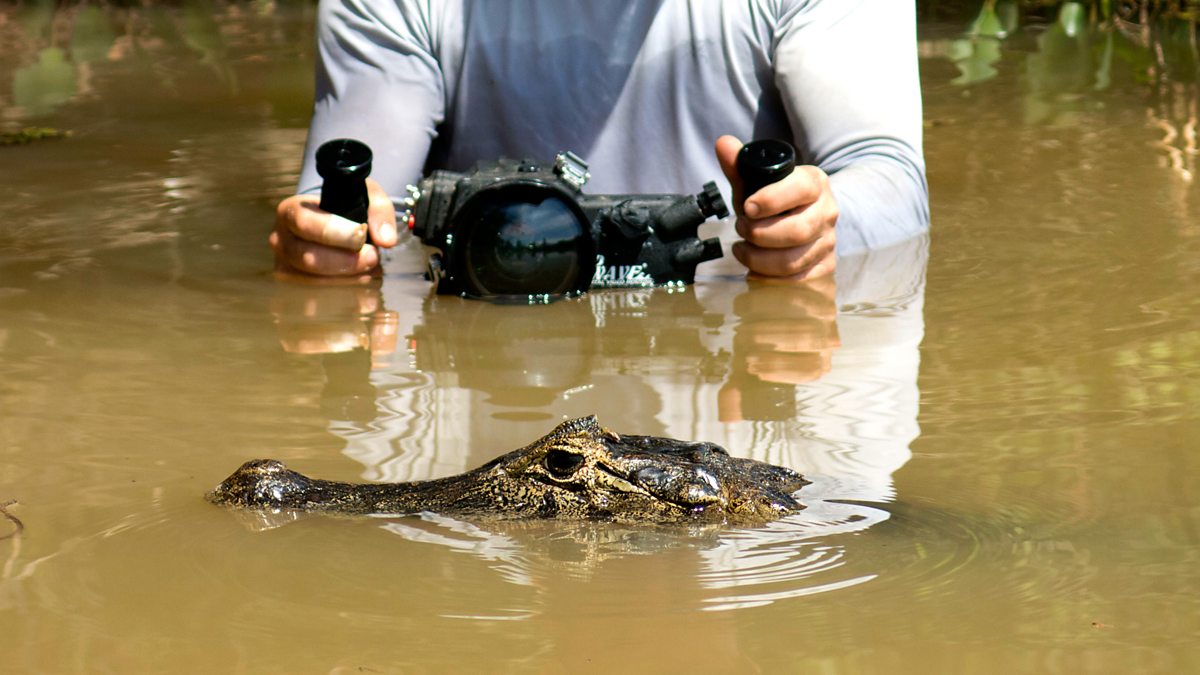 Deadly Pole to Pole - Series 1: 19. Brazil - BBC iPlayer