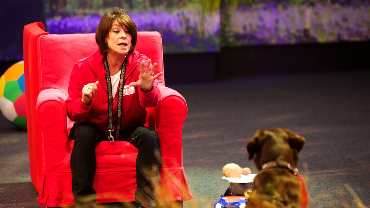 BBC Two - Sport Relief's Top Dog, Episode 2 - Clips