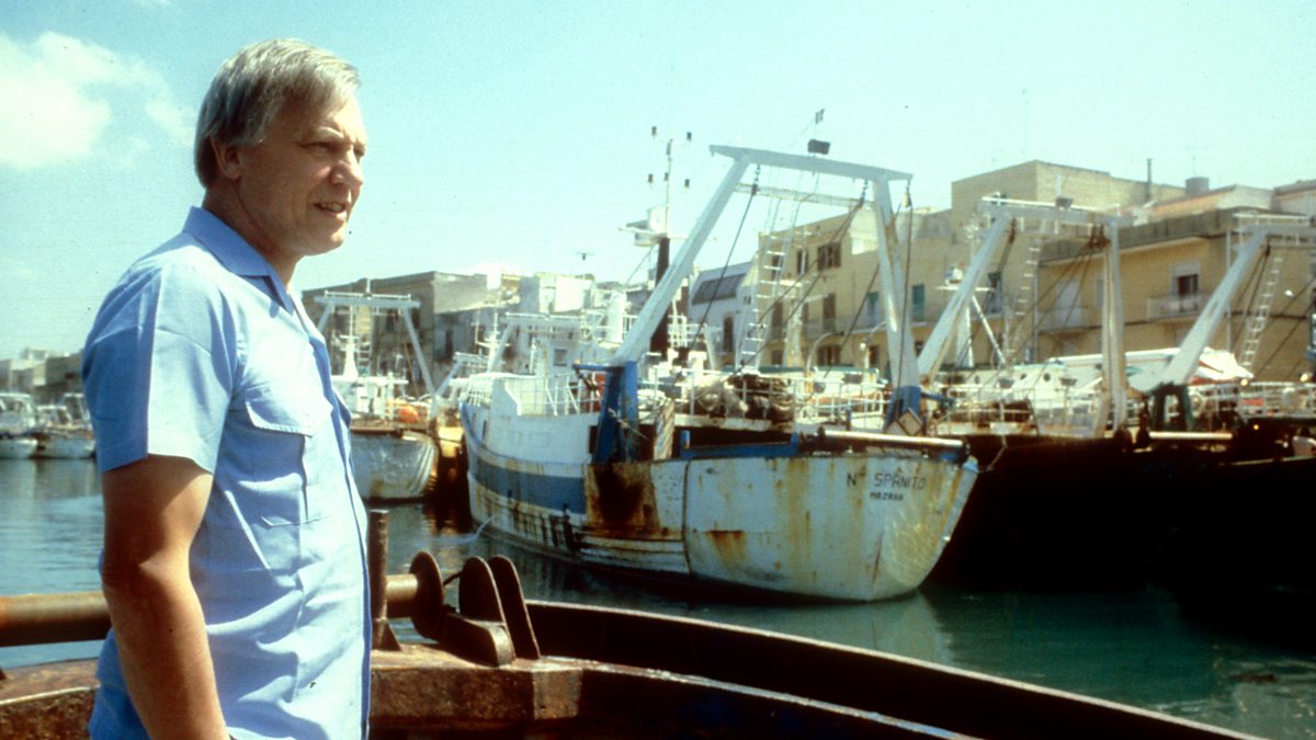 BBC Two - The First Eden