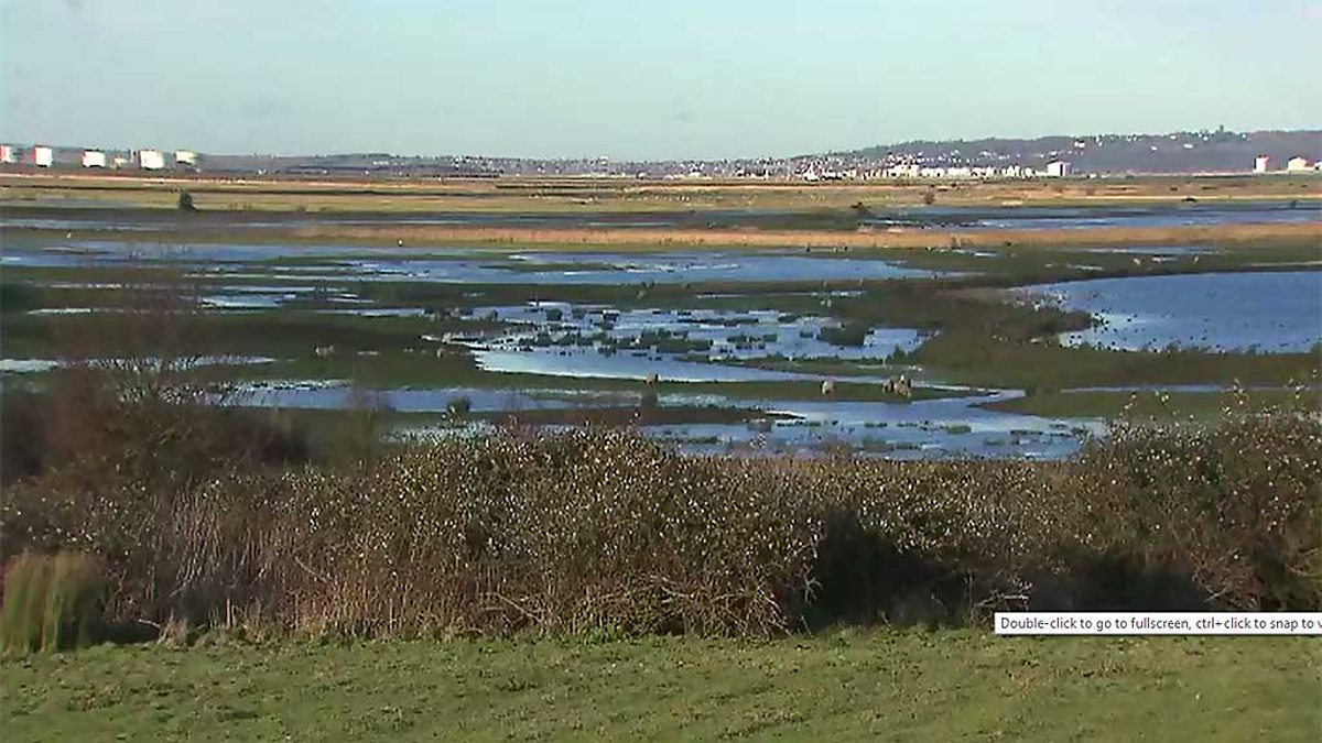 BBC One - Inside Out London, 24/02/2014, Thames estuary airport plans