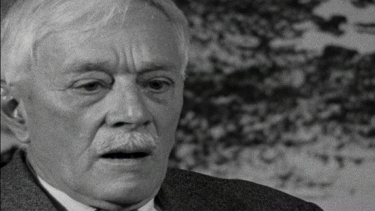 BBC - The Great War Interviews, Henry Williamson, Life on the Western Front