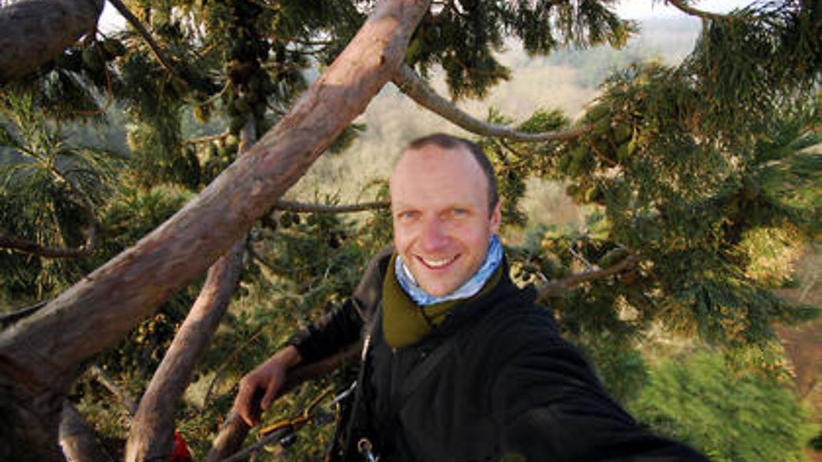 BBC Radio Norfolk - The Garden Party, Professional tree climber: James ...