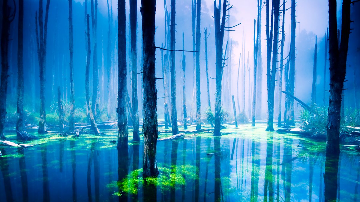 BBC Radio 3 - Discovering Music, Sibelius: Tapiola (Op. 112), Sibelius ...