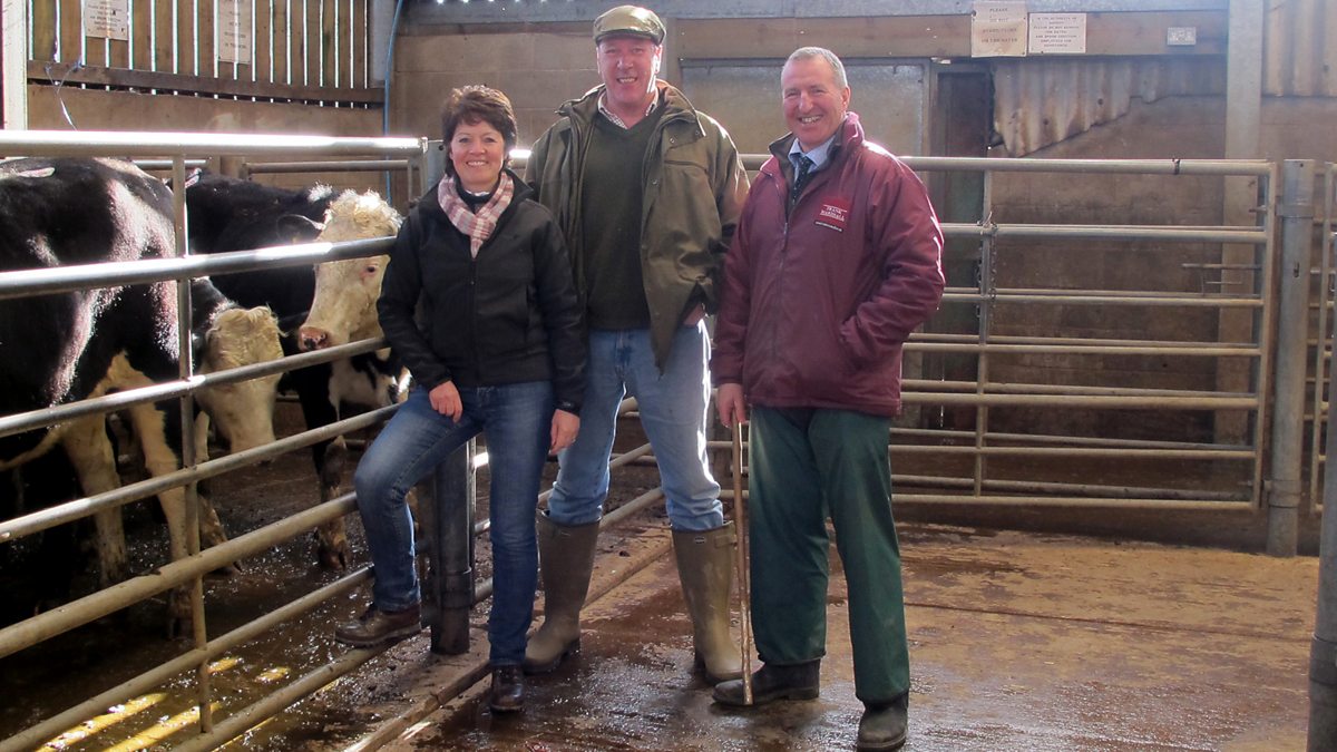 BBC Radio 4 - Open Country, Chelford Cattle Market