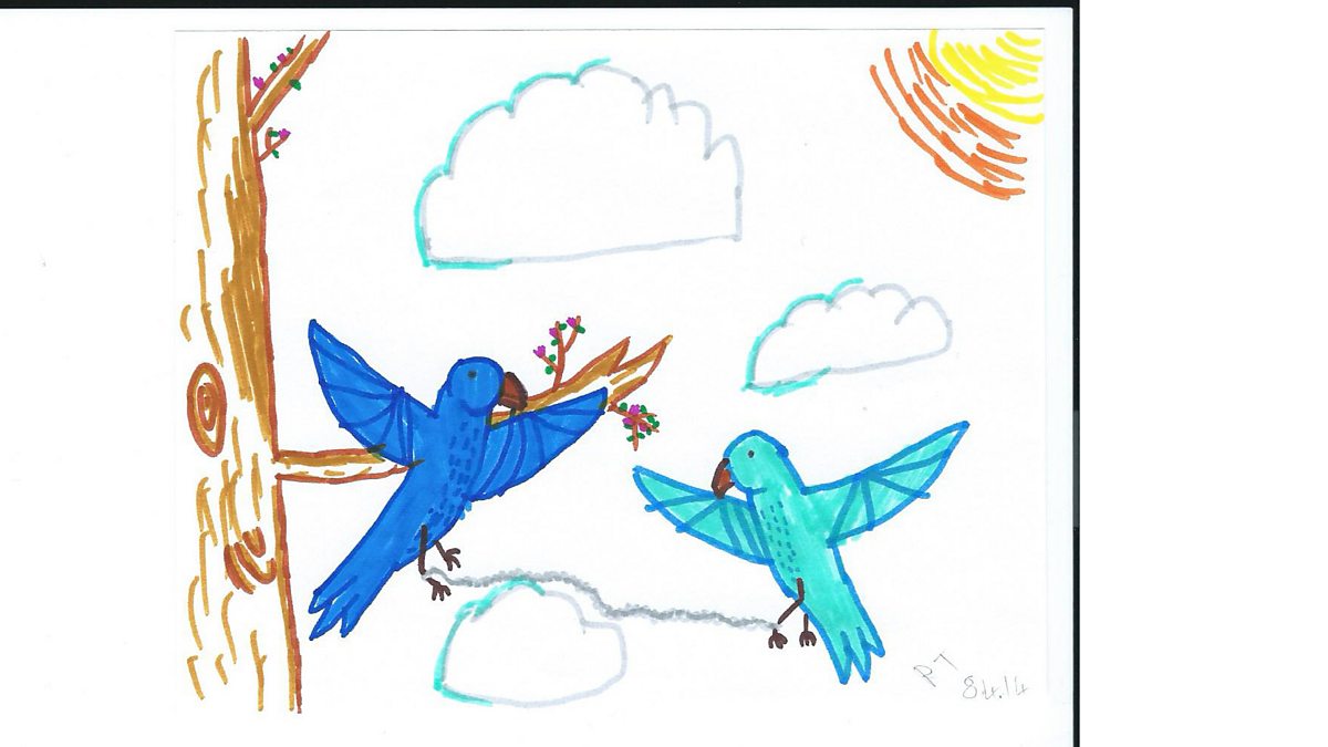 BBC Radio 3 - Breakfast, Draw A Bird Day 2014 #dabday - Muriel Thatcher