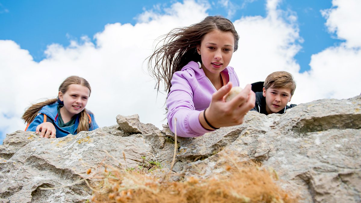 BBC - CBBC - Rocket's Island, Series 2, The Golden Egg - Credits