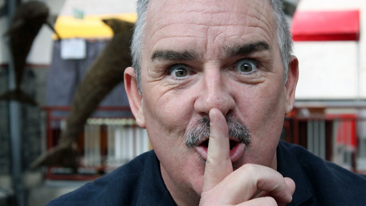 BBC Radio Cymru - Tommo, 11/08/2016