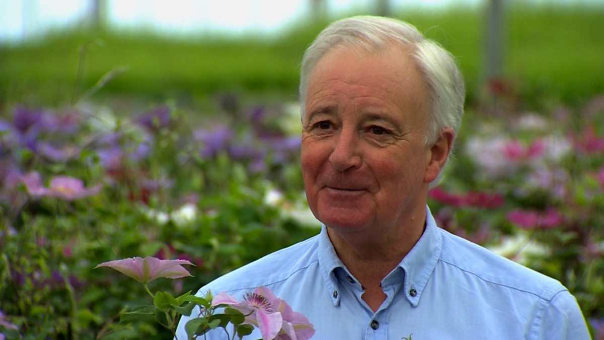 BBC Two - RHS Chelsea Flower Show, 2014, Episode 1, Raymond Evison clematis